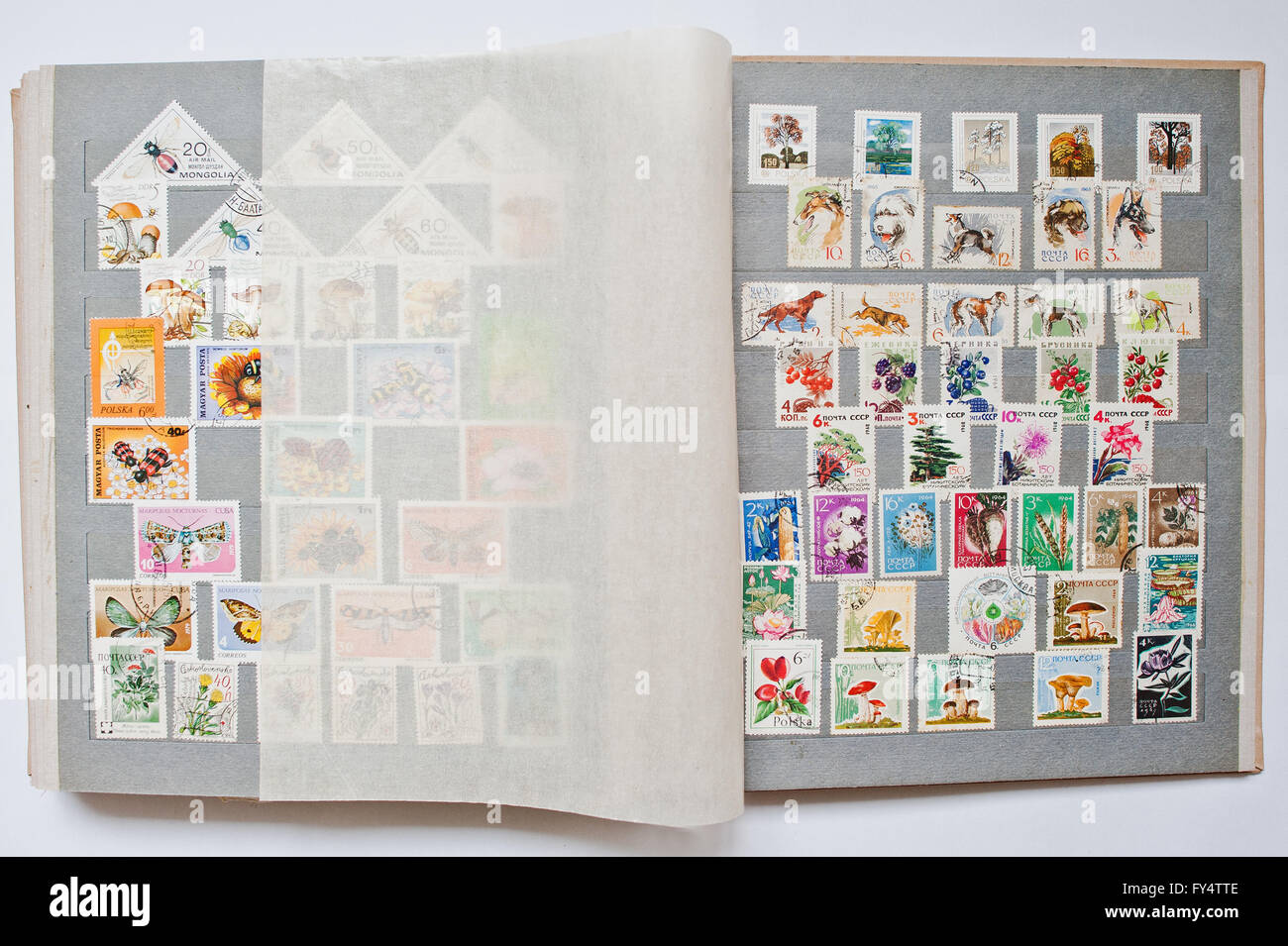 Collection of postage stamps in album from USSR Stock Photo - Alamy