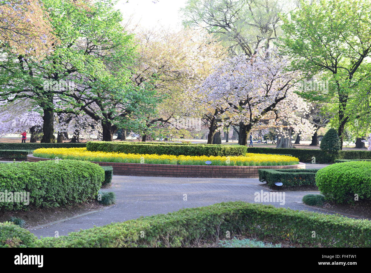 Shinjuku Gyoen, Tokyo, Japan Stock Photo - Alamy