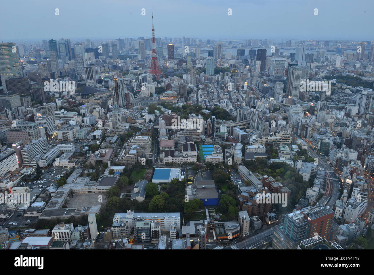 Tokyo skyline, Tokyo, Japan Stock Photo - Alamy
