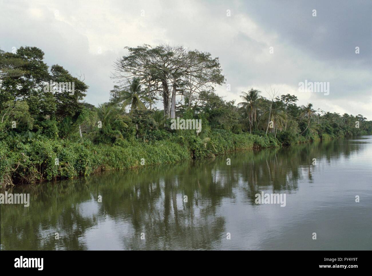Coast bluefields nicaragua hi-res stock photography and images - Alamy