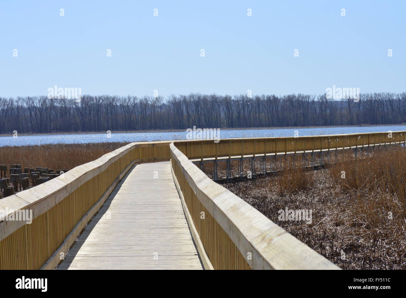 Boardwalk in the Wetland Stock Photo - Alamy