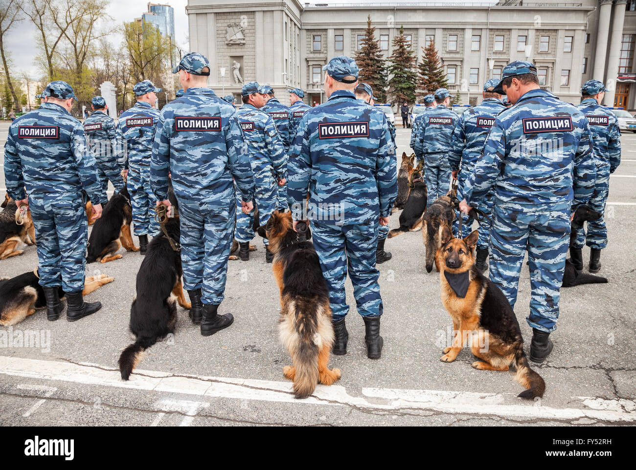 Russian police unit in uniform with police dogs on the Kuibyshev square ...