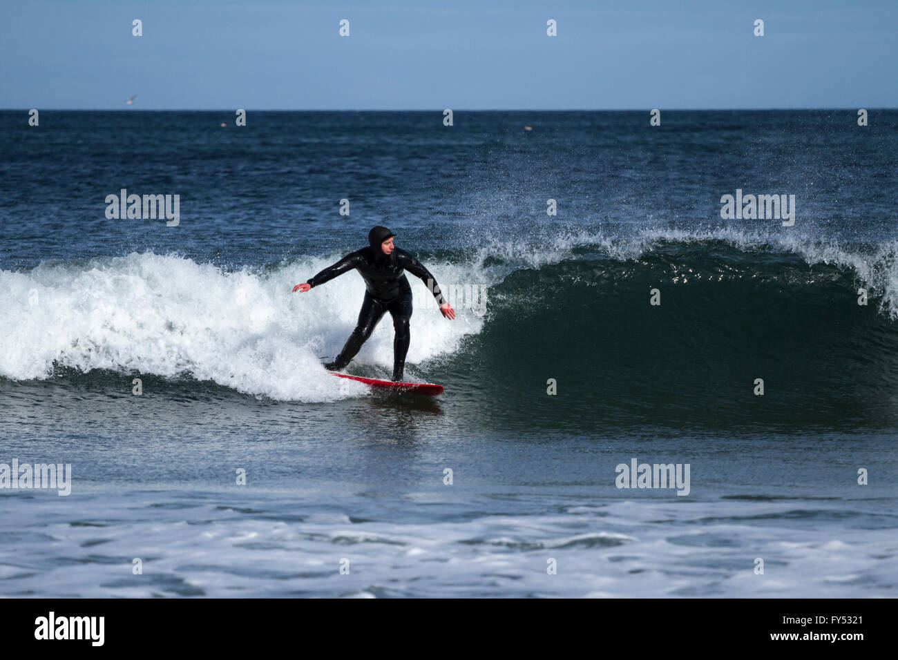 Coldingham beach hi-res stock photography and images - Alamy