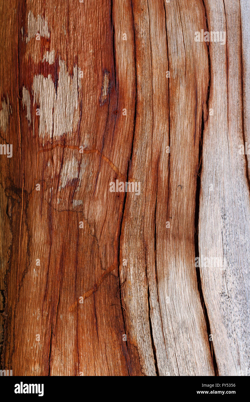 Weathered timber log background Stock Photo - Alamy