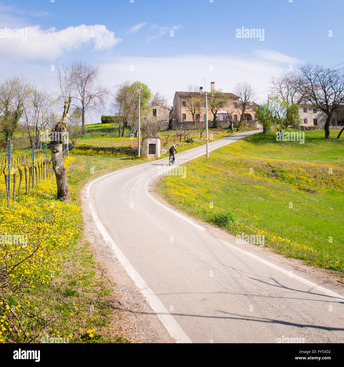 Roads between the Italian hills are ideal routes for cyclists Stock ...