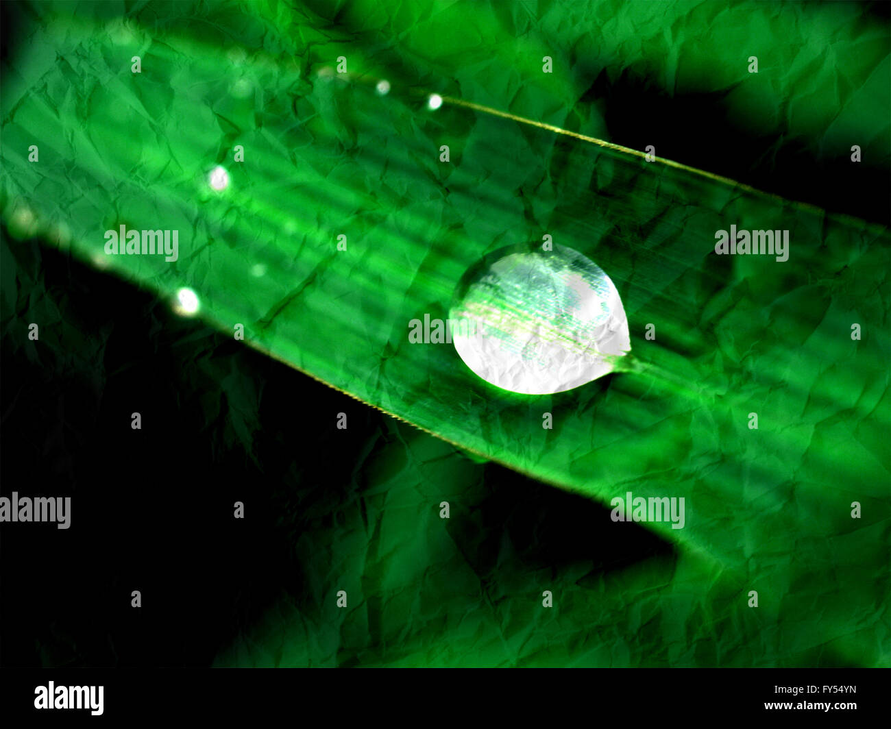 Water Drop On Leaf Stock Photo - Alamy