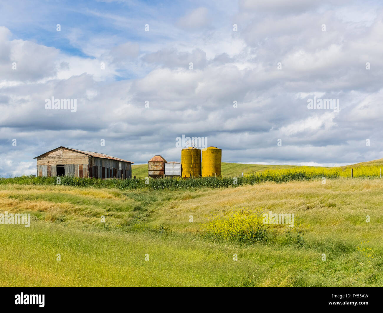 Colorful yellow silos sit next to an old wooden and corrugated metal ...