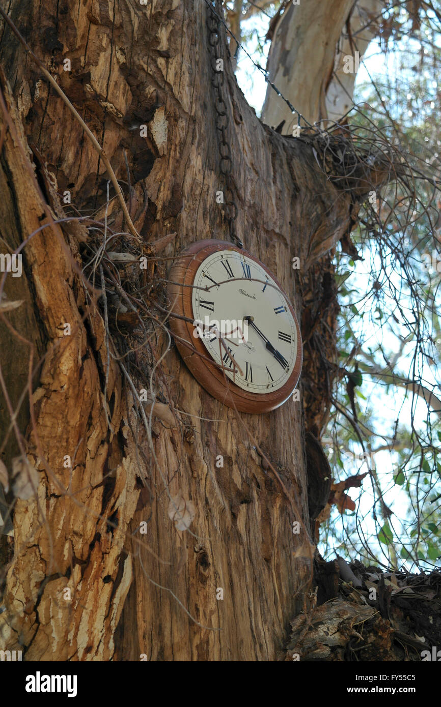 Clock hanging on tree hi-res stock photography and images - Alamy