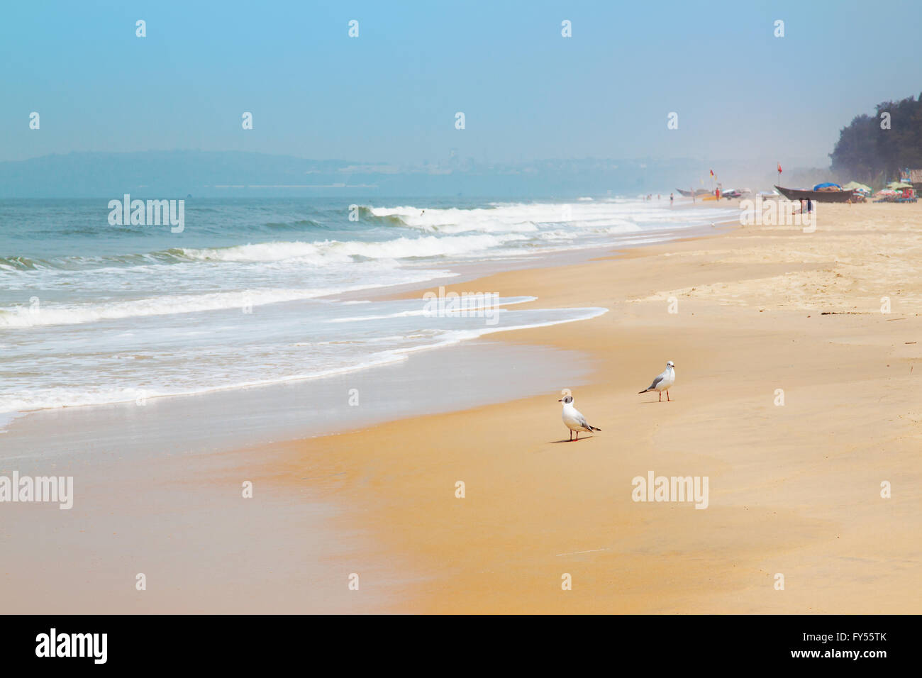 Kolva, India - April 20, 2016: Blurry GOA landscape with sea, waves and ...