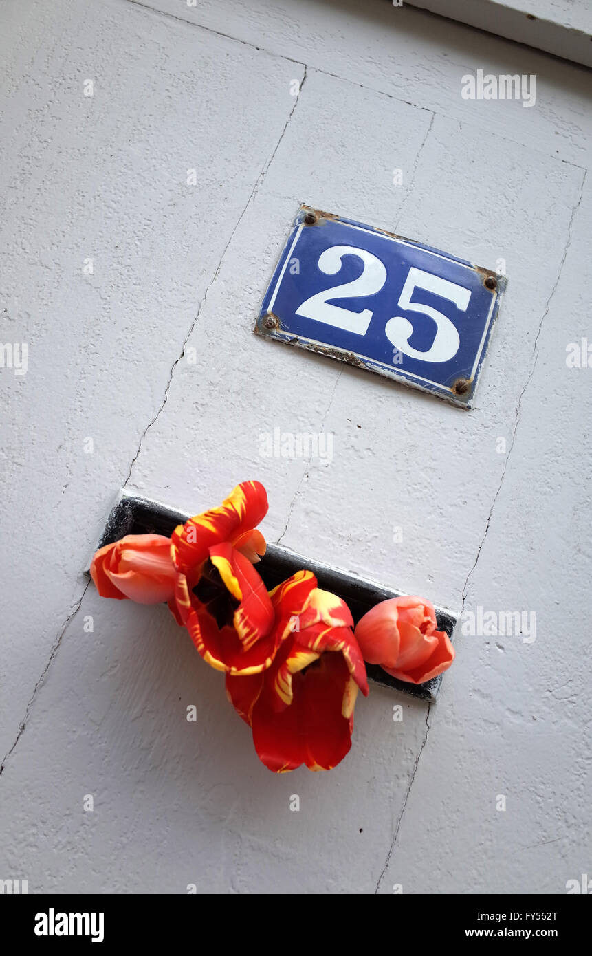 Flowers in letterbox at Number 25 Stock Photo - Alamy