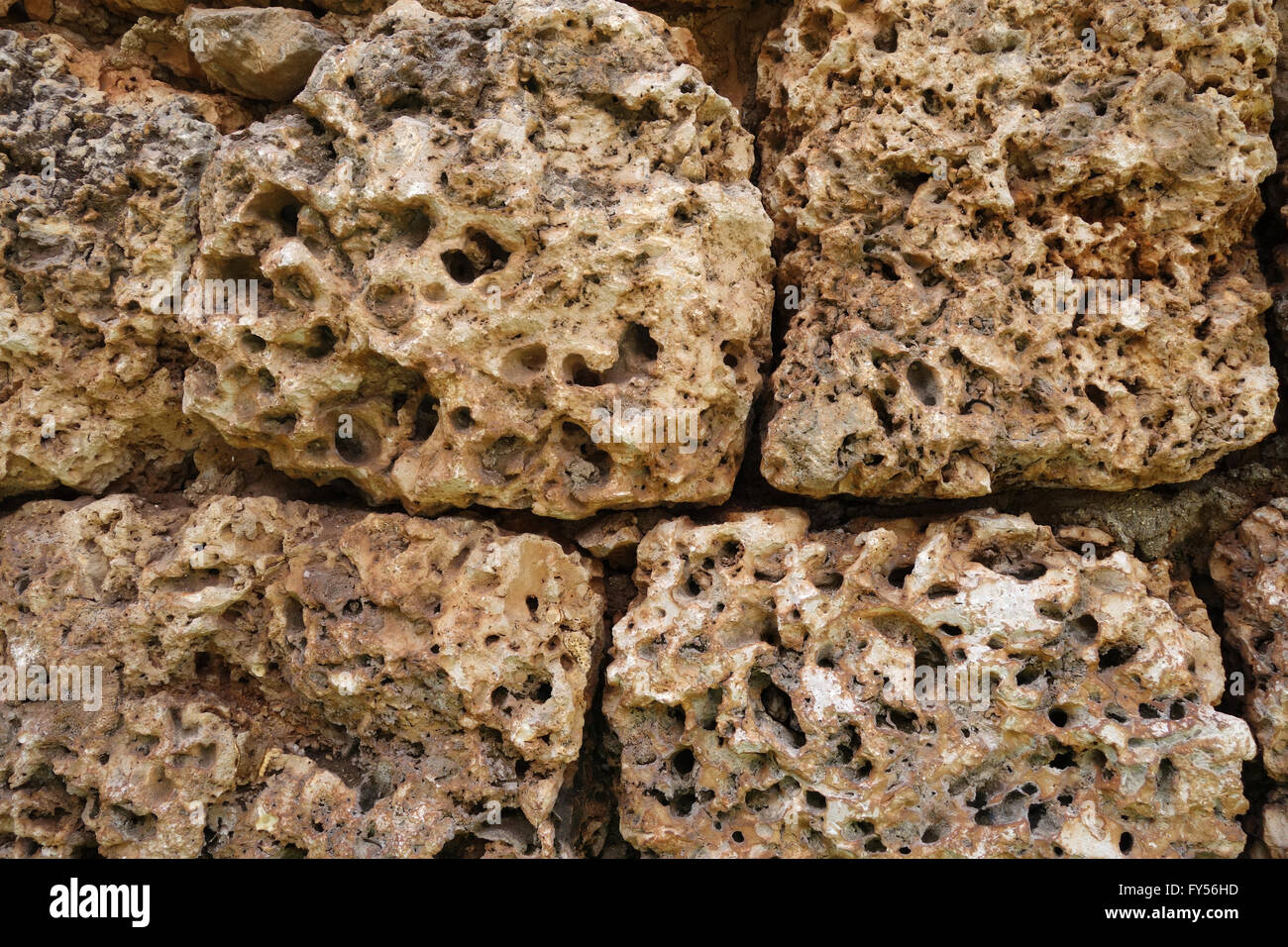 Coral construction hi-res stock photography and images - Alamy