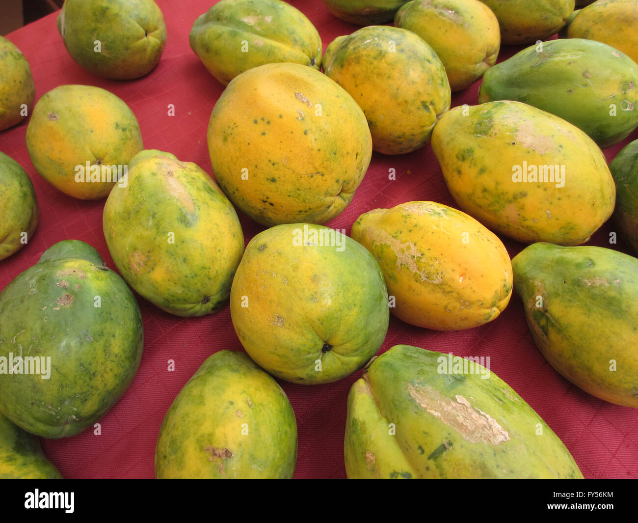 Papaya tree hawaii hi-res stock photography and images - Alamy
