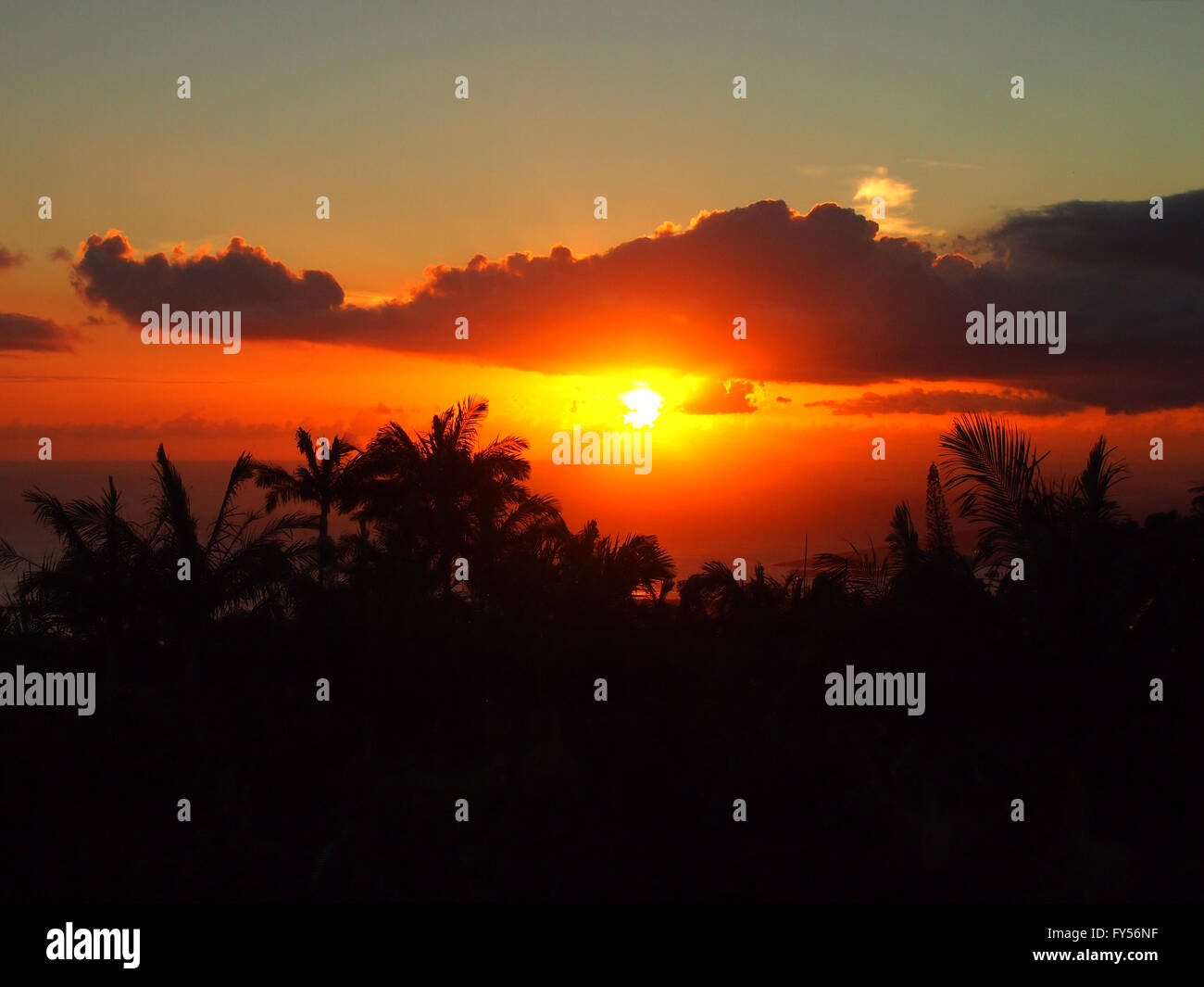 Sunset past tropical silhouette of trees through the clouds over the ...