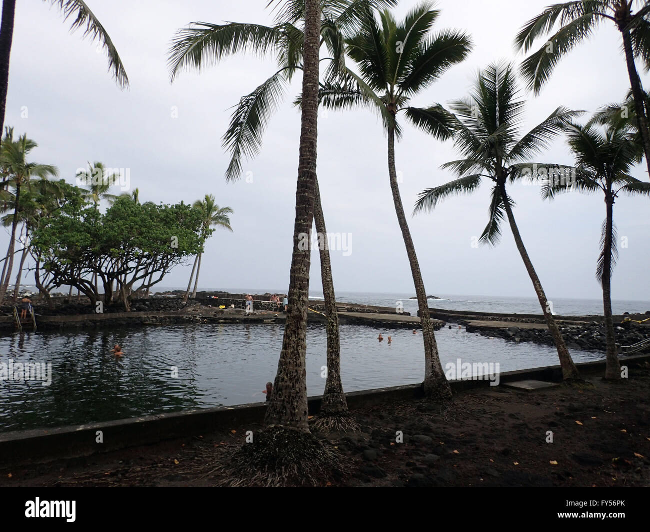 People use Ahalanui spring fed pool, This spring fed pool is part ...