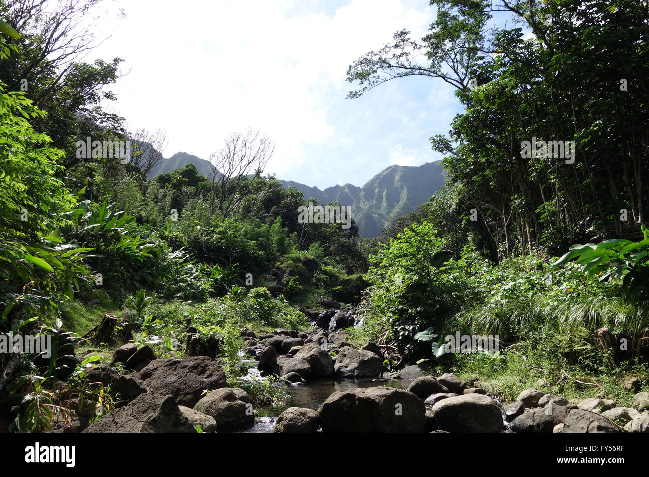 He'eia Stream filled with large boulders and surrounded by trees and ...