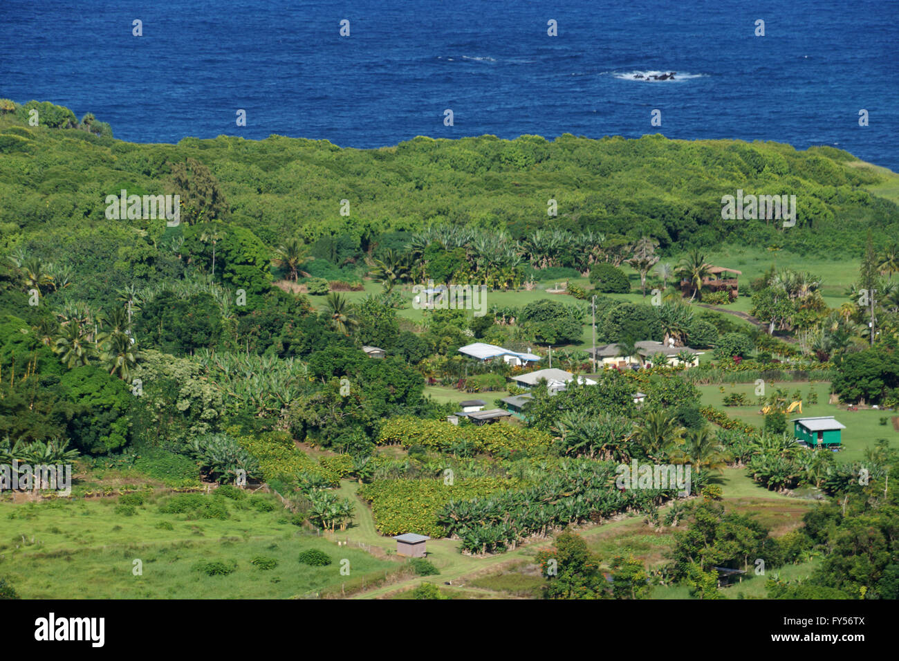 Aerial View of Small ocean side farm community on the road to Hana on ...