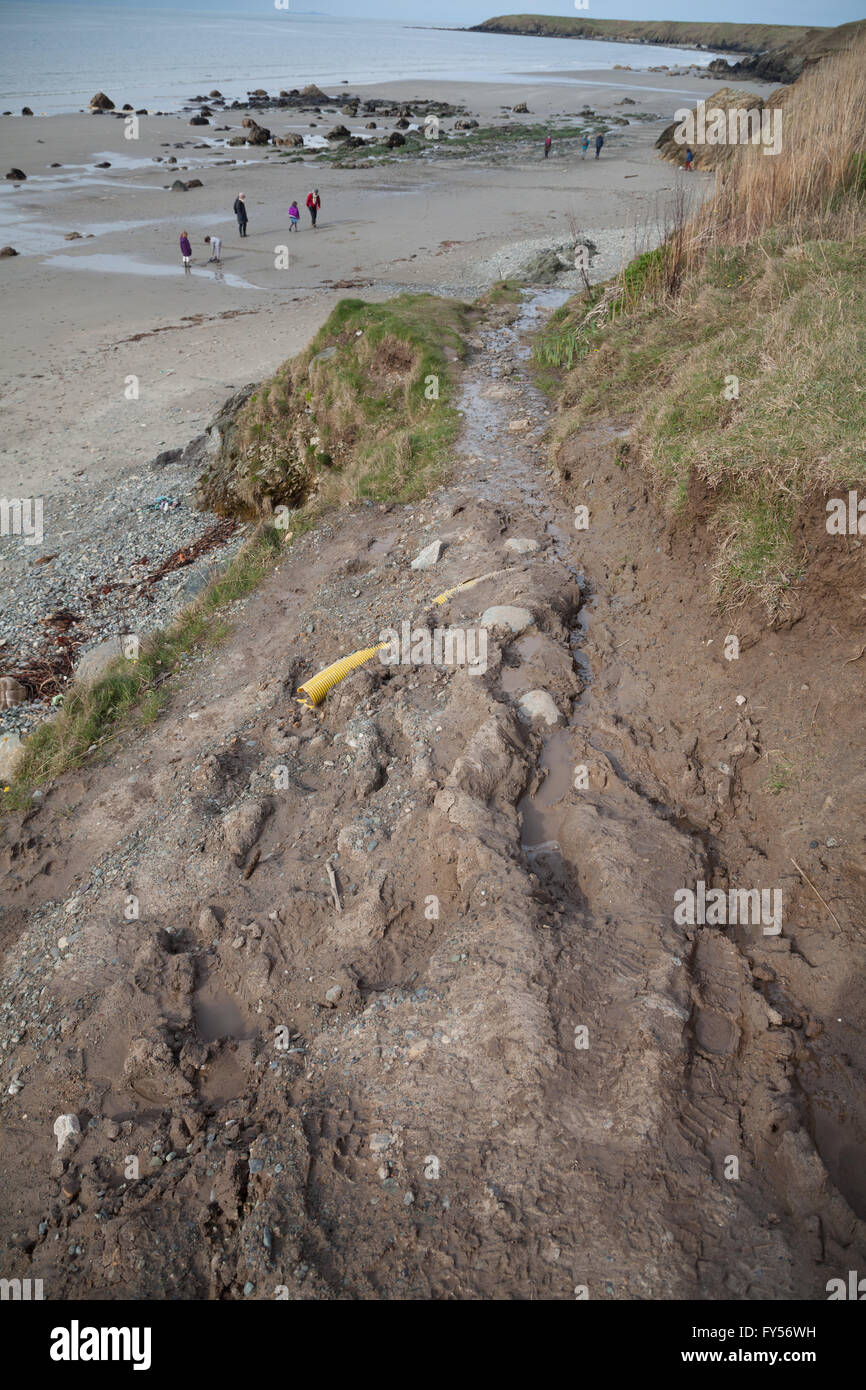 Foot Path at Penllech Beach / Afon Fawr after clifftop footpath erosion ...