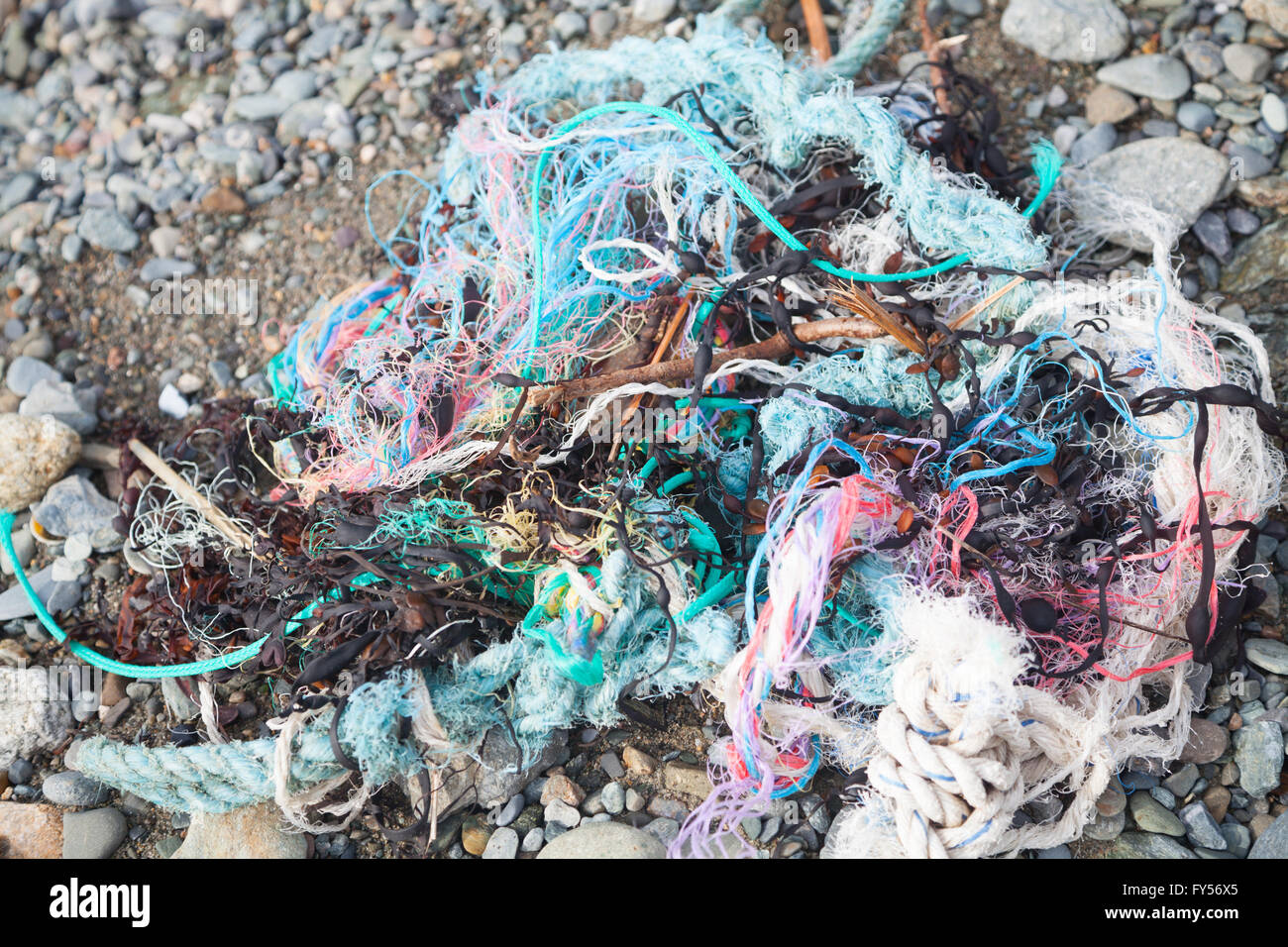Colourful twisted rope, fishing line, plastic, string and seaweed found ...