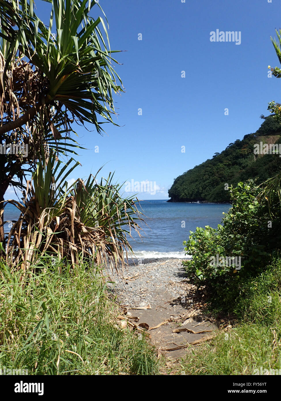 Path opens to black sand beach at Honomanu Park on the Road to Hana ...