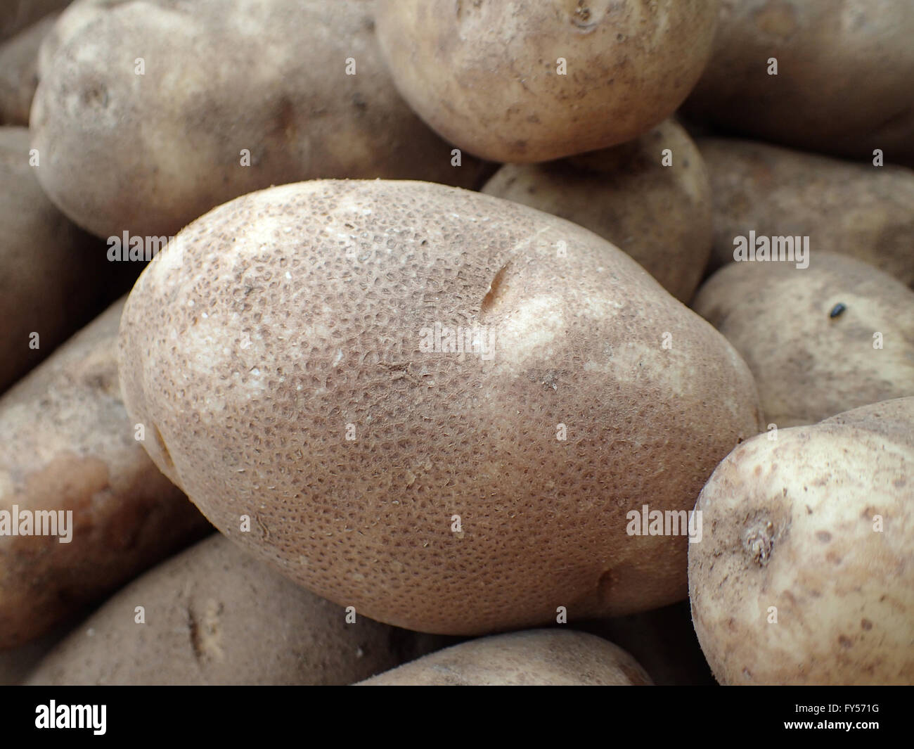 Russel Potatoes on display at Farmers Market in Maui Stock Photo - Alamy