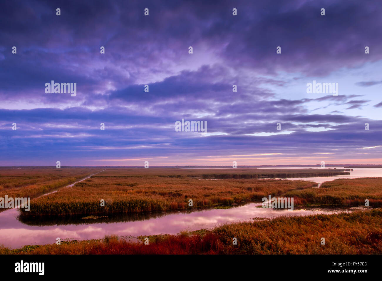 Amazon blue sky hi-res stock photography and images - Alamy