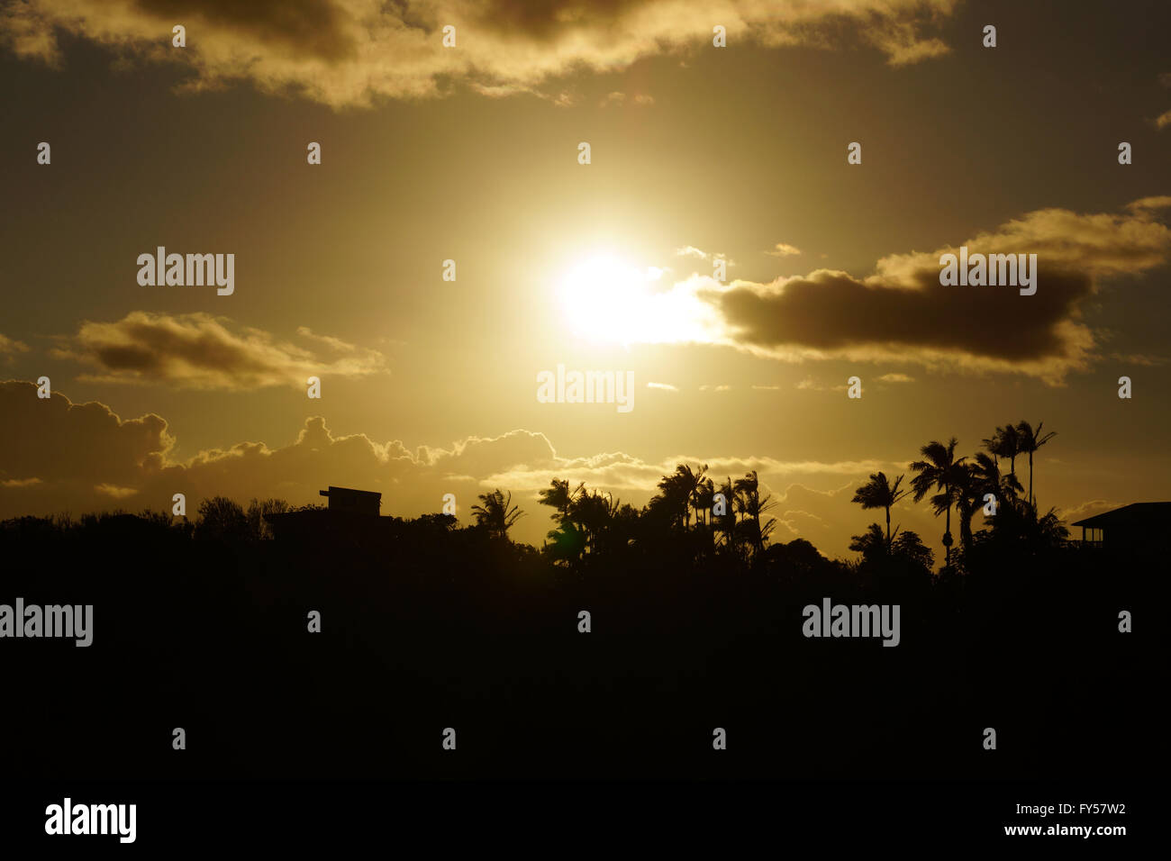 Sunset past tropical silhouette of trees through the clouds creating a ...