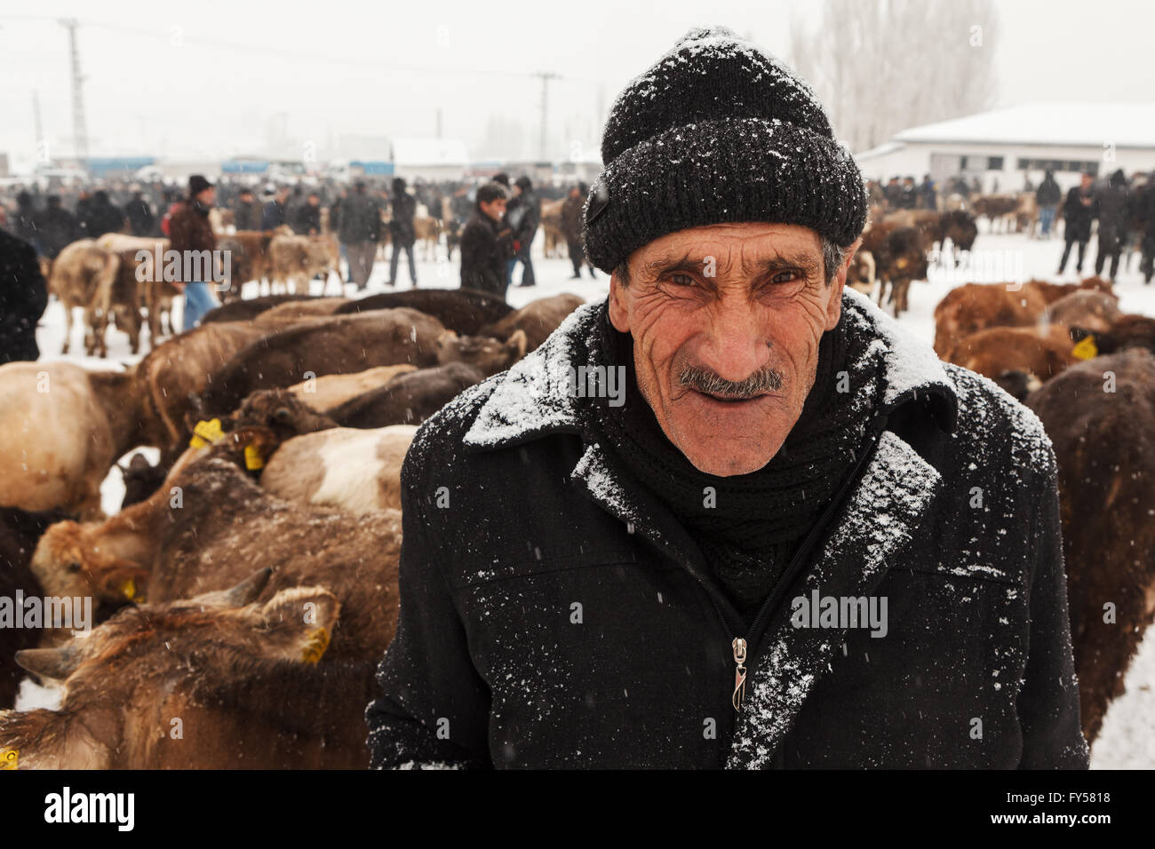 People at cattle market hi-res stock photography and images - Alamy