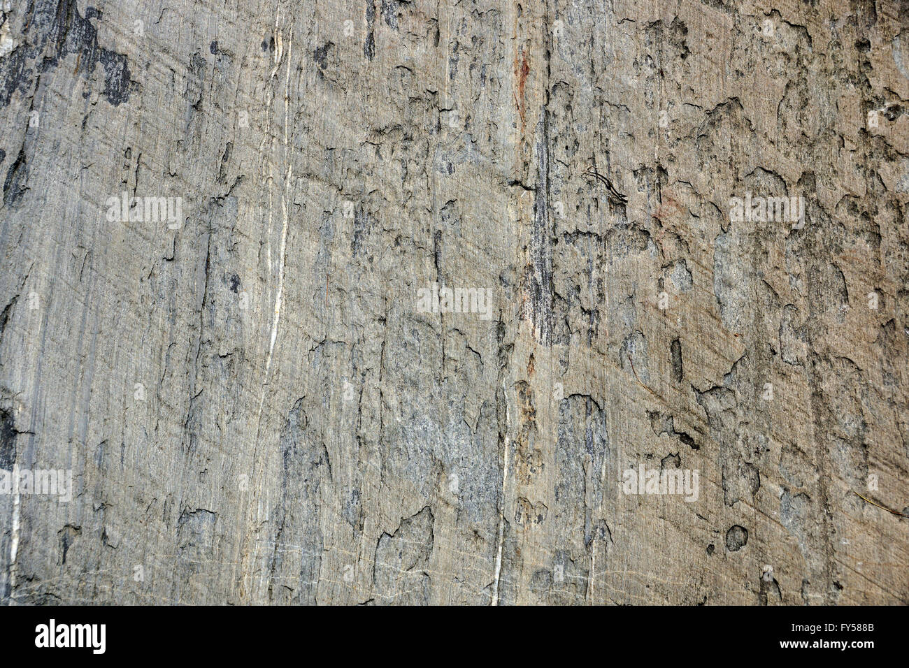Worn Granite Stone Rock Close-up with line pattern Stock Photo - Alamy