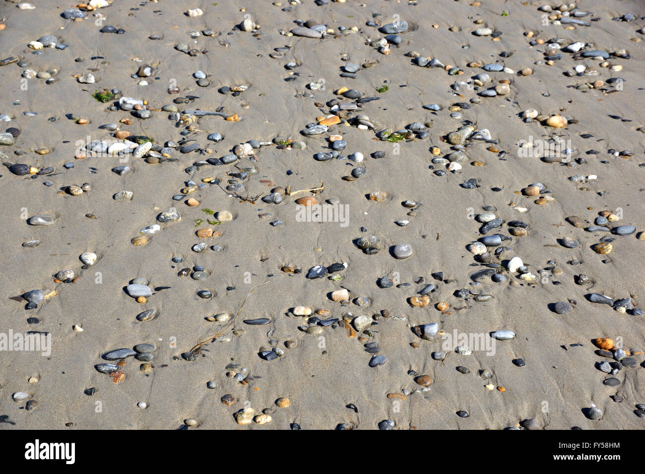 Pebble seamless texture hi-res stock photography and images - Alamy