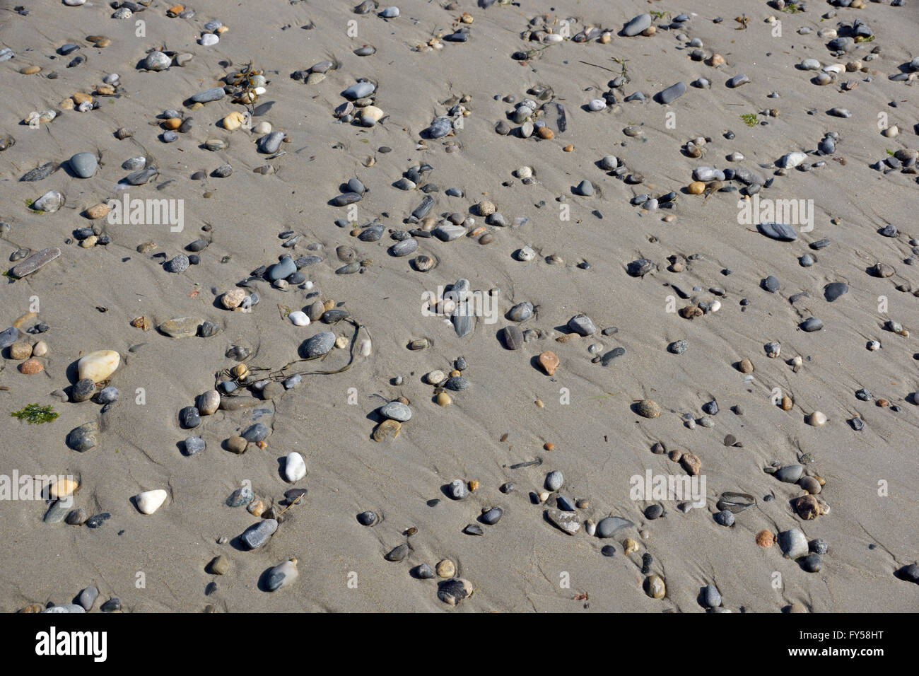 Pebble seamless texture hi-res stock photography and images - Alamy