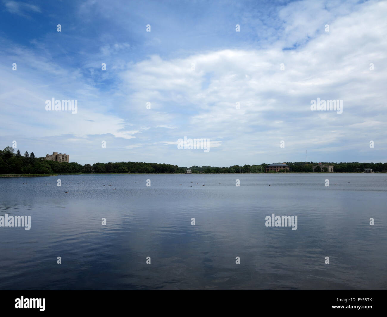 Chestnut Hill Reservoir with ducks swimming in water in Suburban Boston ...