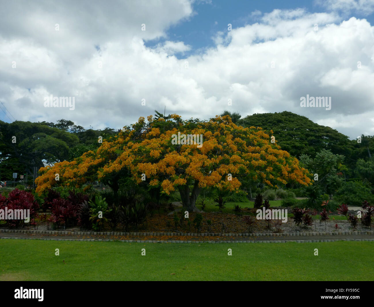 Queen kapi'olani garden hi-res stock photography and images - Alamy