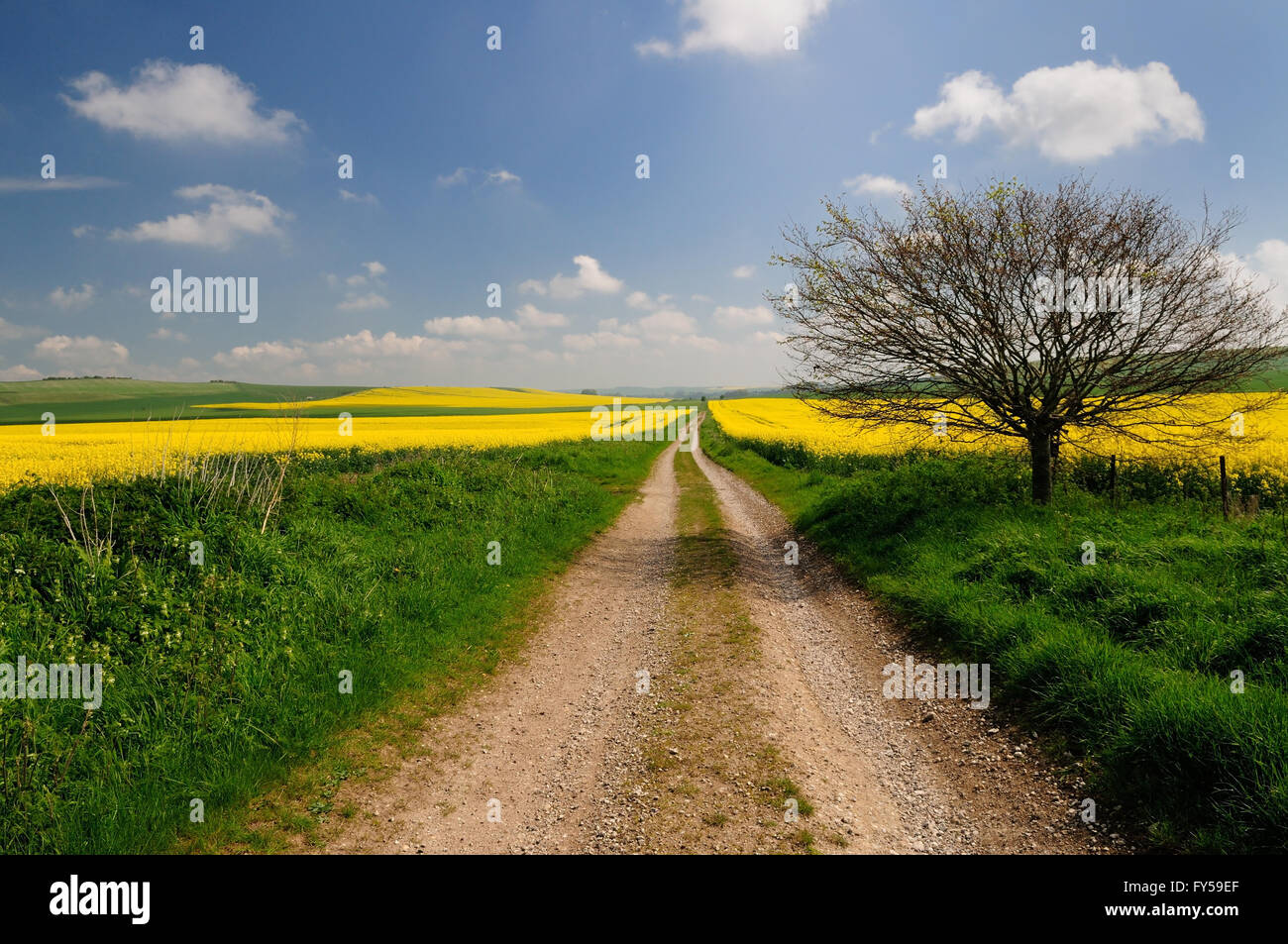 Route of the Old Bath Road near Shepherd's Shore, formerly a coach road ...