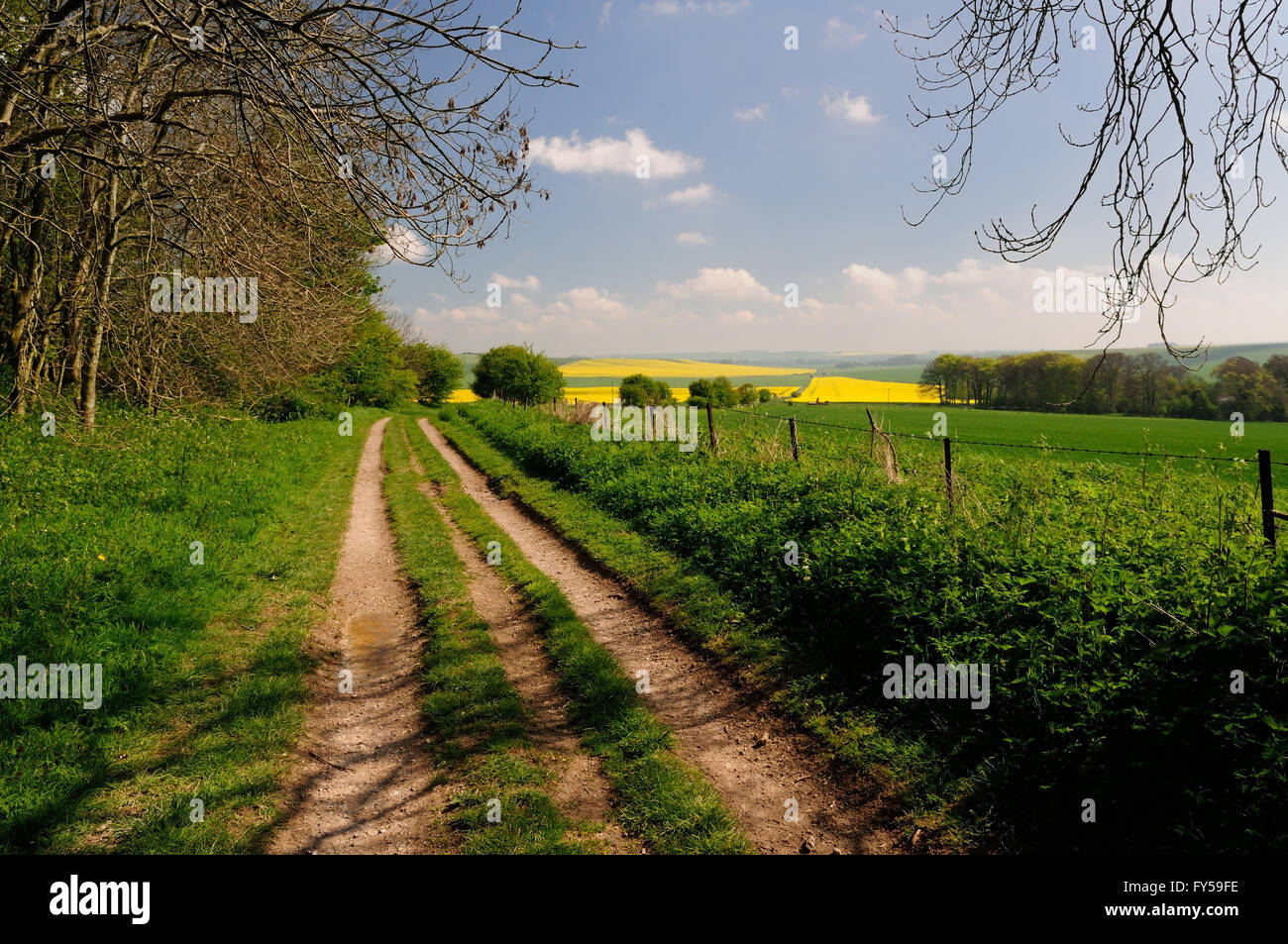 Route of the Old Bath Road at Shepherd's Shore, where a coaching inn ...