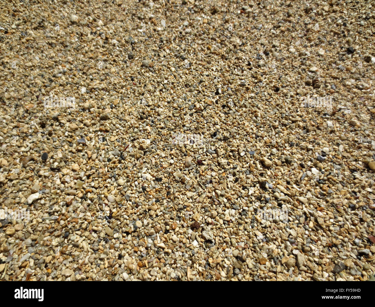 Grains of Kahala Beach Sand, shells, rocks on Oahu, Hawaii Stock Photo ...