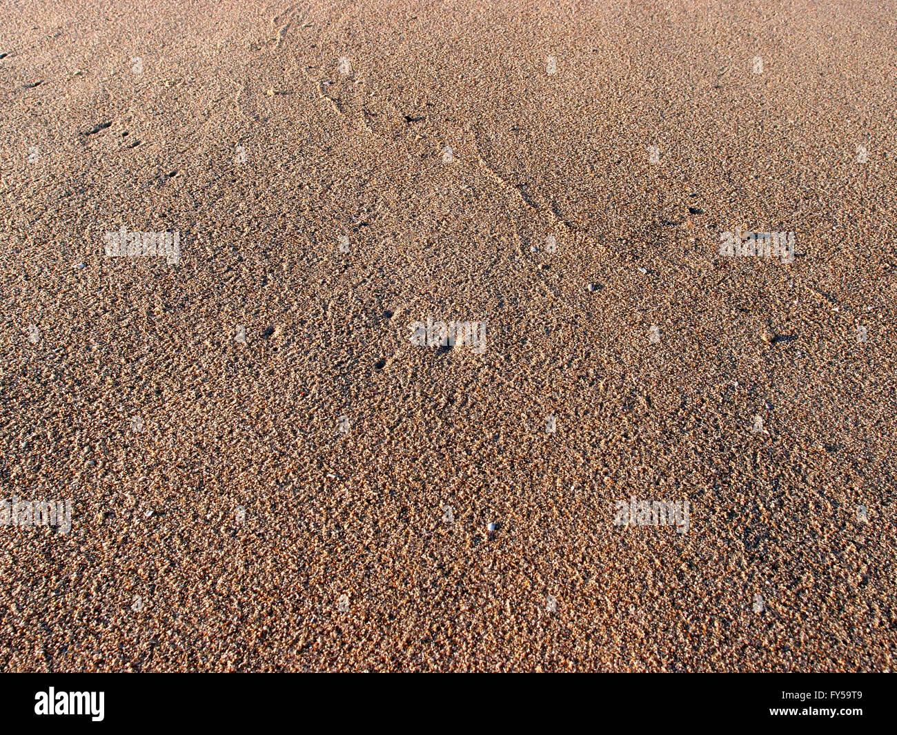 California sand grains hi-res stock photography and images - Alamy