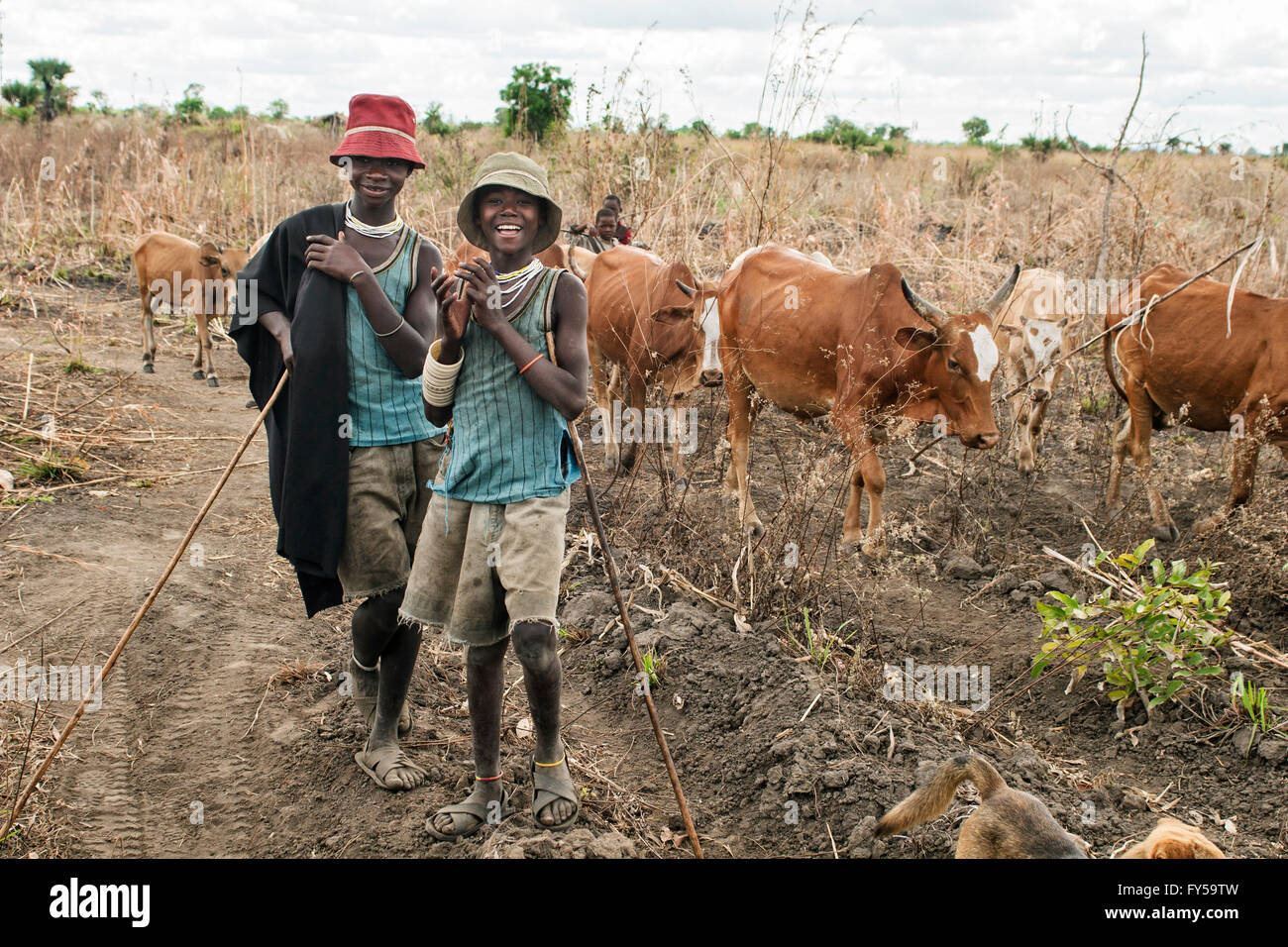 Wasukuma cattle herder boys, Kilombero Valley, Tanzania Stock Photo - Alamy