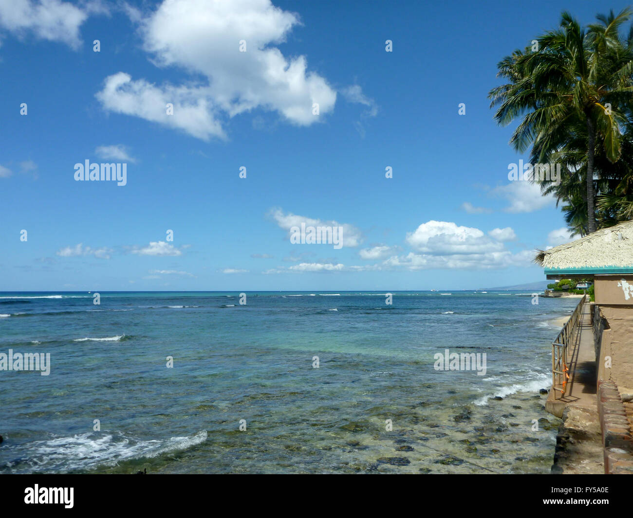 Coconut trees along cliff hi-res stock photography and images - Alamy