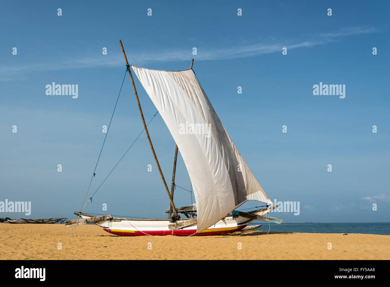 Traditional catamaran fishing boat, aka oruva, with a white sail on the ...