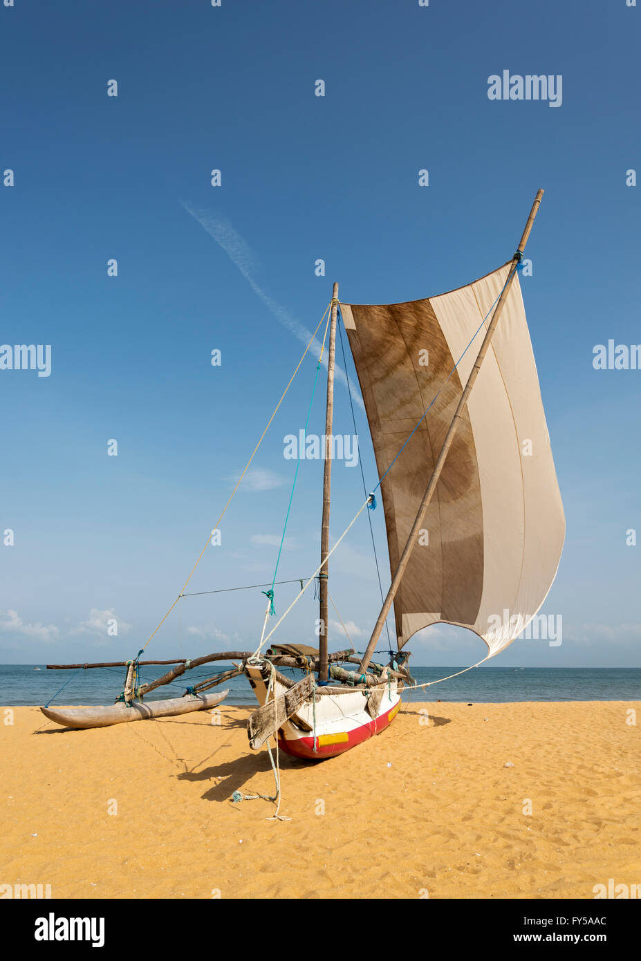 Traditional catamaran fishing boat, aka oruva, with a white sail on the ...