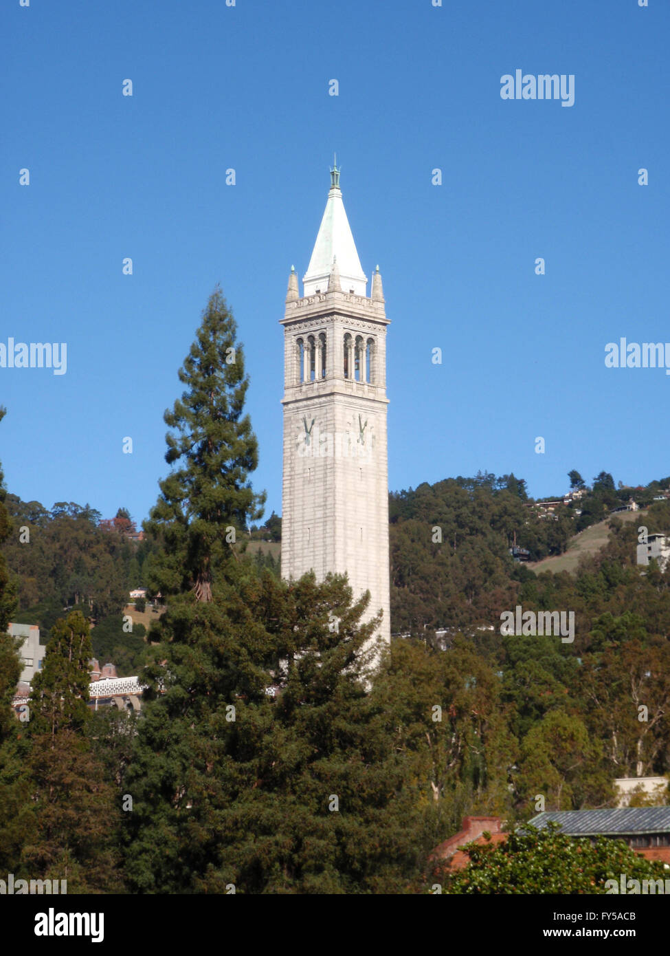 Berkeley square trees hi-res stock photography and images - Alamy