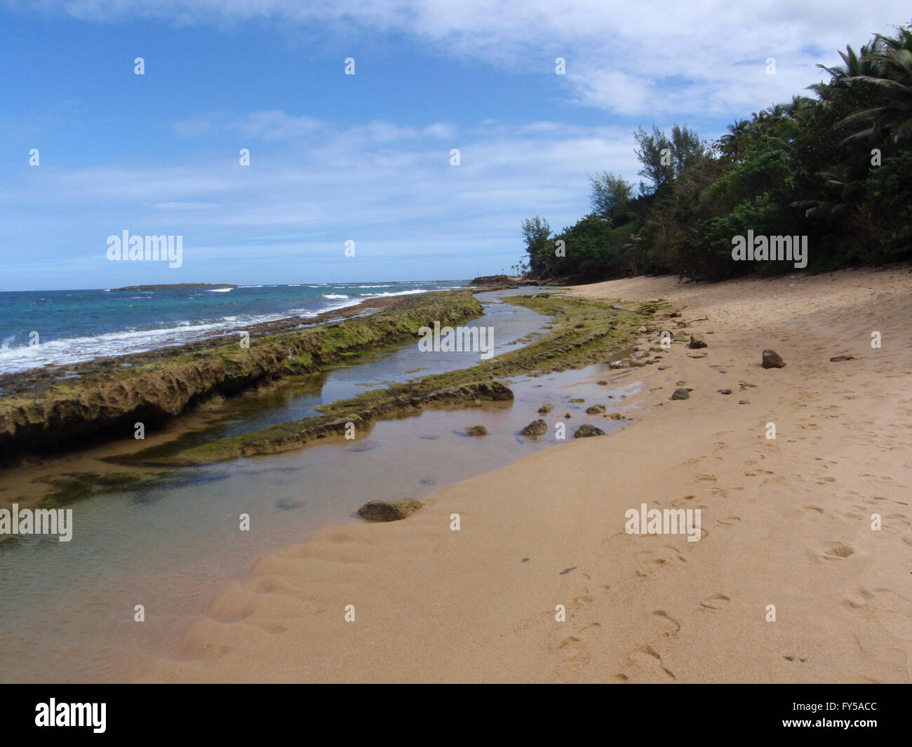Curved beach hi-res stock photography and images - Alamy
