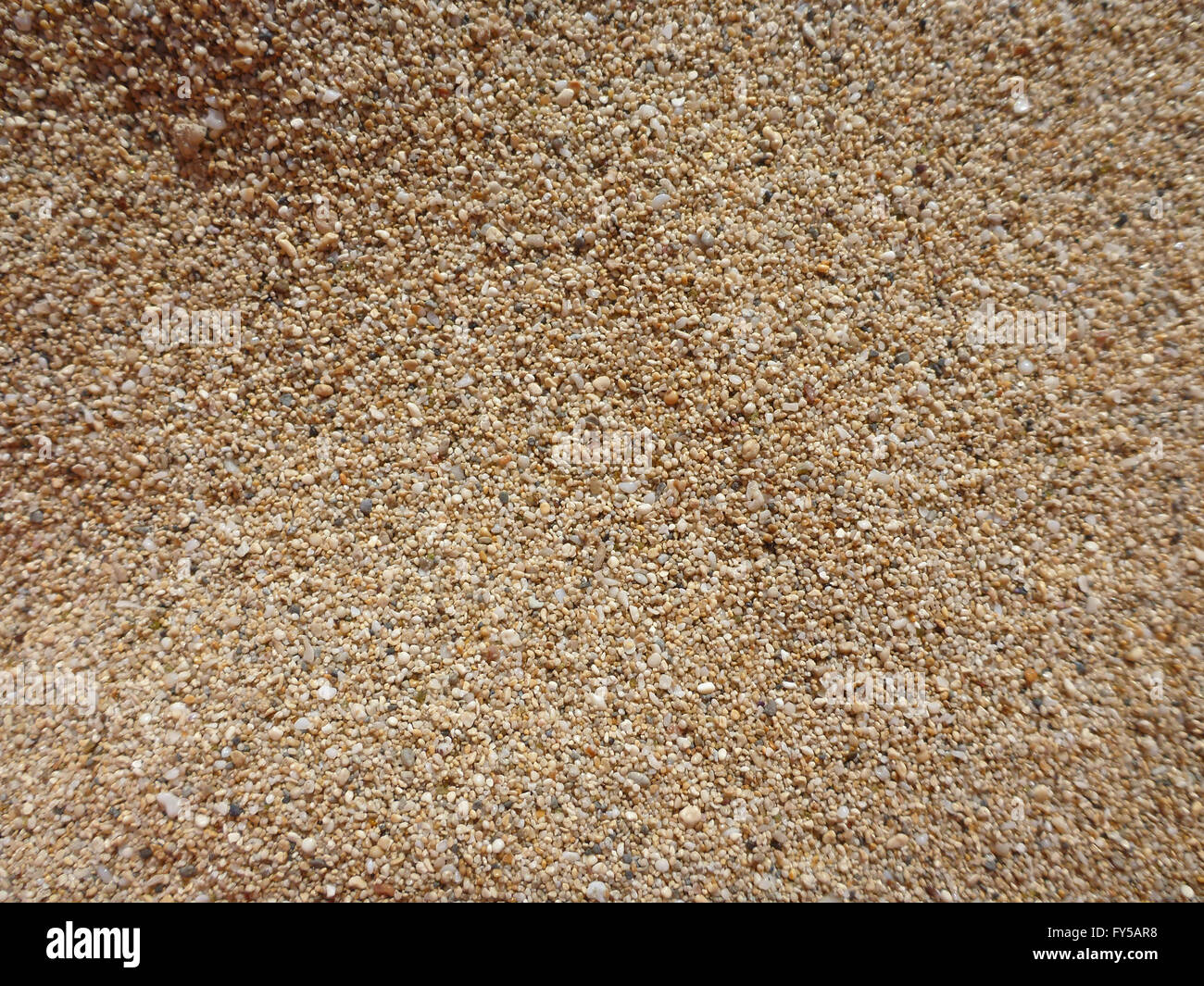 Grains of Oahu Kaimana Beach Sand and shells Stock Photo - Alamy