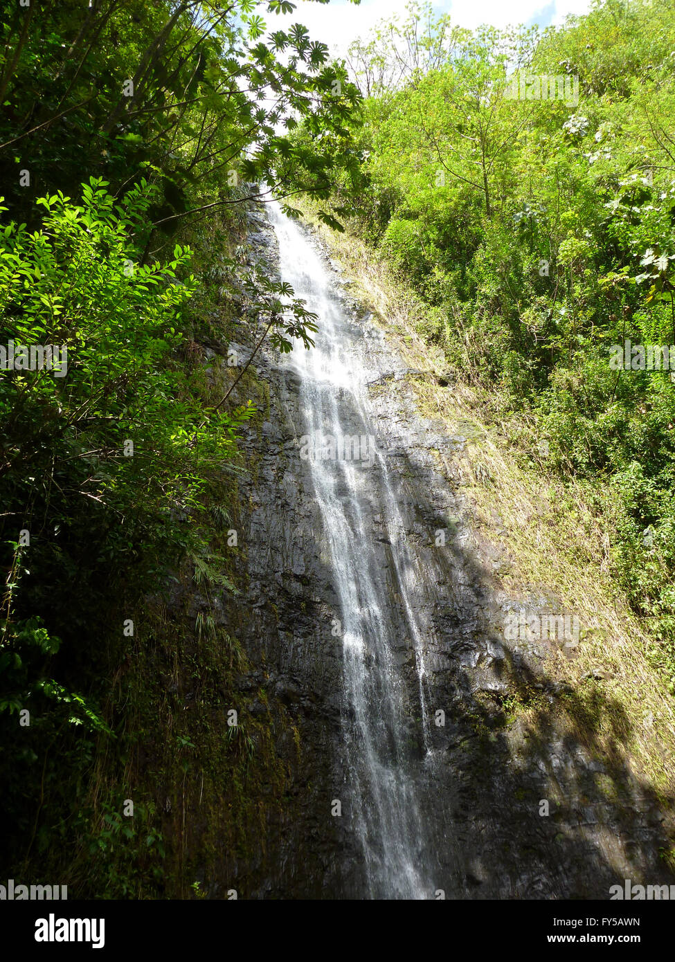 Manoa cliff trail hi-res stock photography and images - Alamy