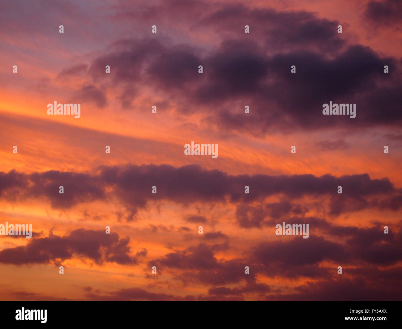 Background light from sunset hi-res stock photography and images - Alamy