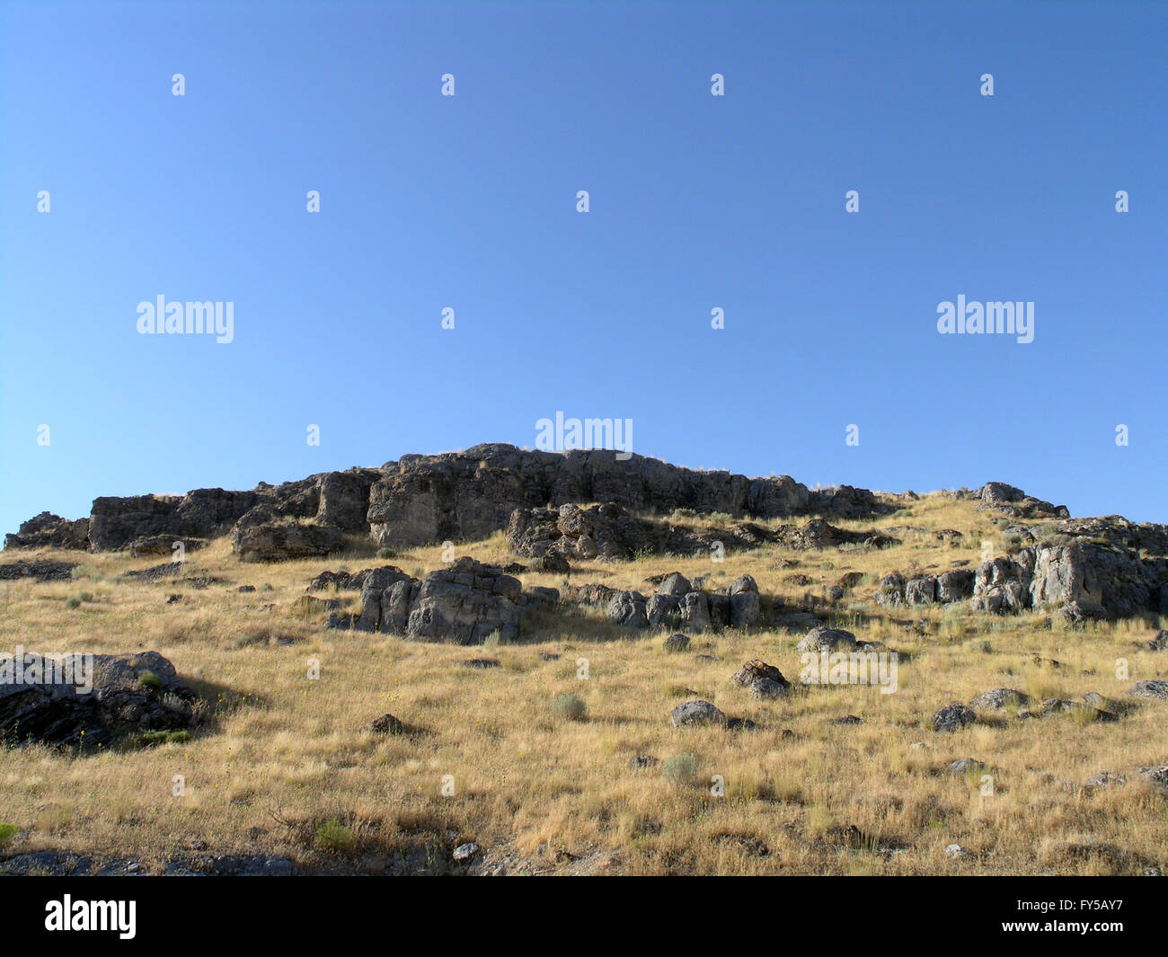 Rocky Hillside with tall dry grass in Utah Stock Photo - Alamy