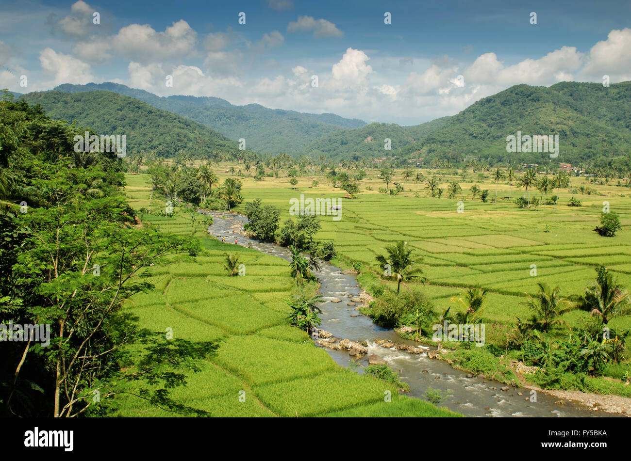 West java hi-res stock photography and images - Alamy