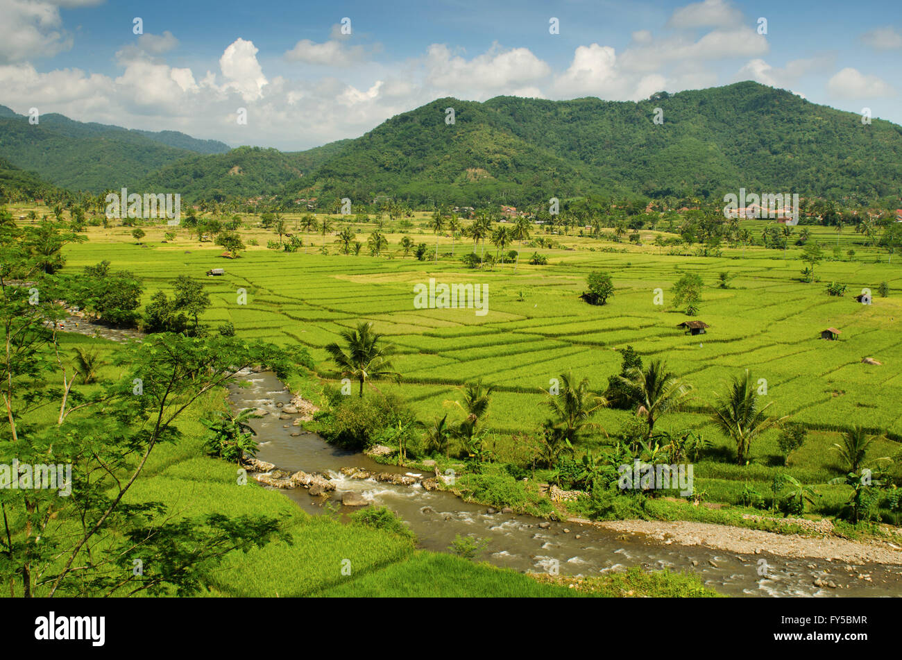 Subang indonesia hi-res stock photography and images - Alamy