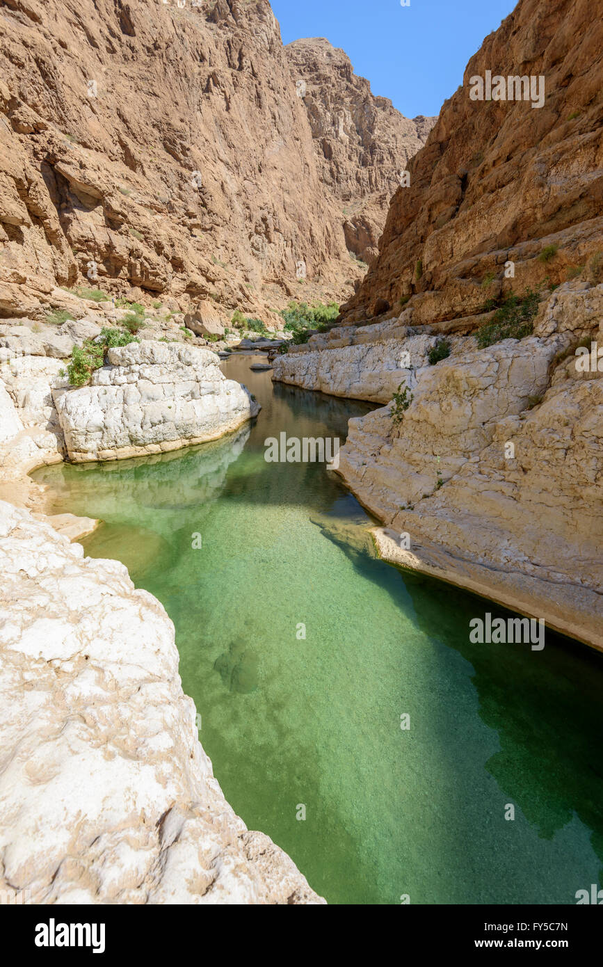 Clear pool with water looking green, Wadi Ash Shab main pool, Sultanate ...