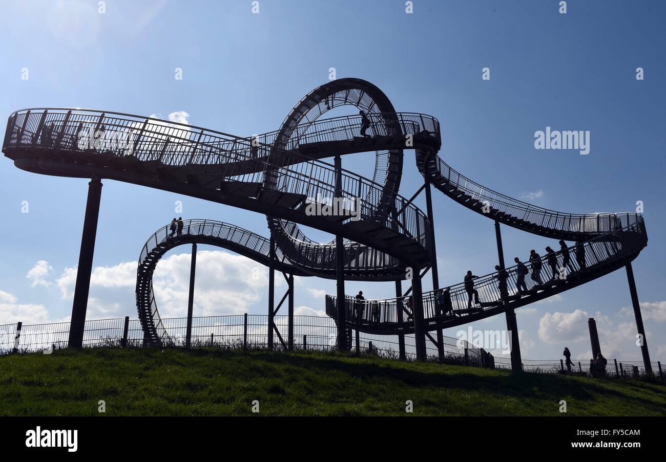 The sculpture "Tiger and Turtle - Magic Mountain" by Heike Mutter and ...